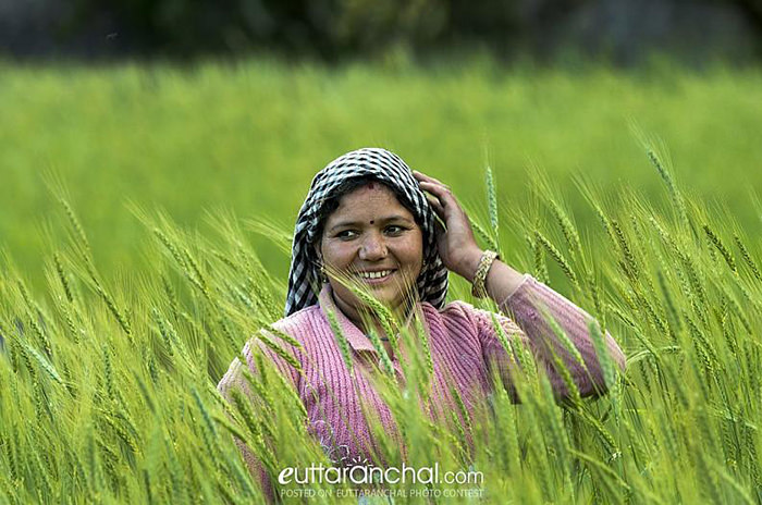 Bio-villages of Uttarakhand are emerging as pioneer in organic farming