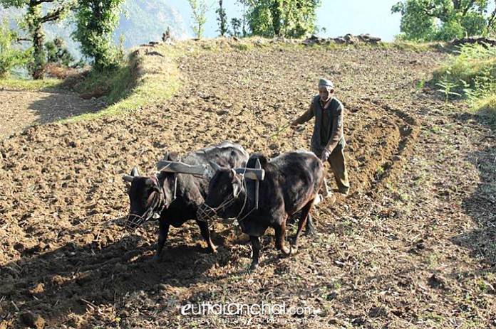 Bio-villages of Uttarakhand are emerging as pioneer in organic farming