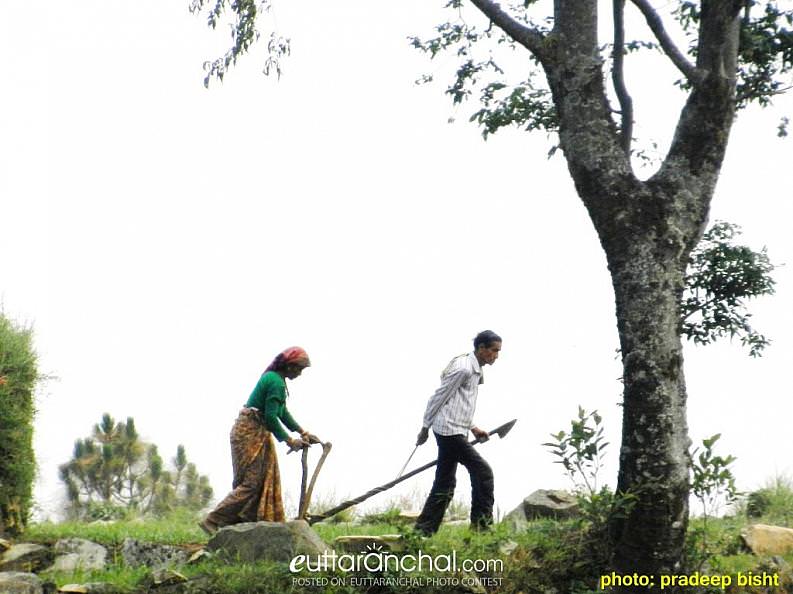 Reason of slow development in Uttarakhand, Unbalanced growth in Uttarakhand