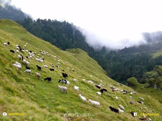 Ramni Village, Chamoli - Photo Tour